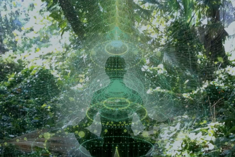 BIO | PATTERNS - COMPLEXITY GRAPHICS