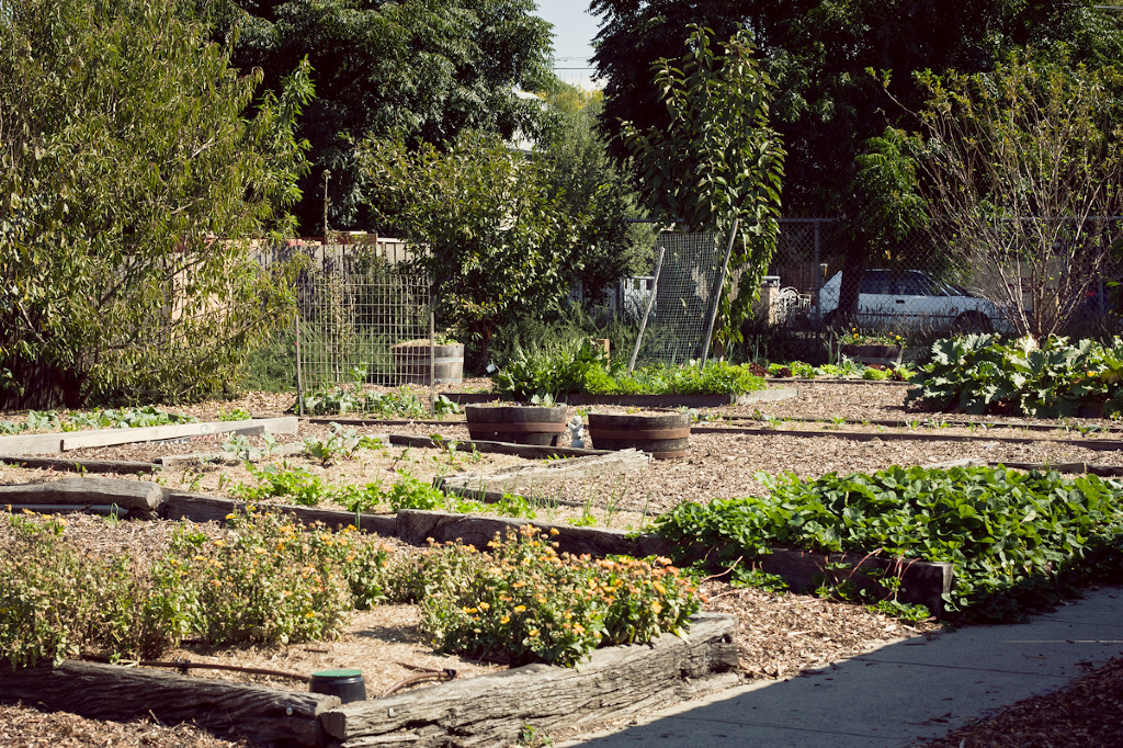 Community Services - Footscray