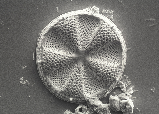 Inspiring - thesurroundings