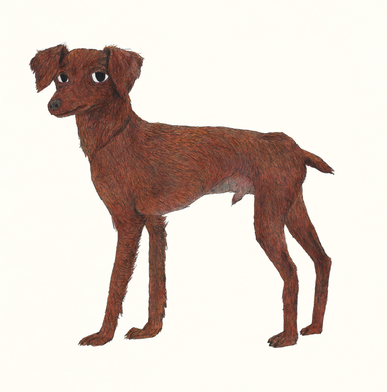 Pet Portraiture - Benjamin Phillips Artist & Illustrator
