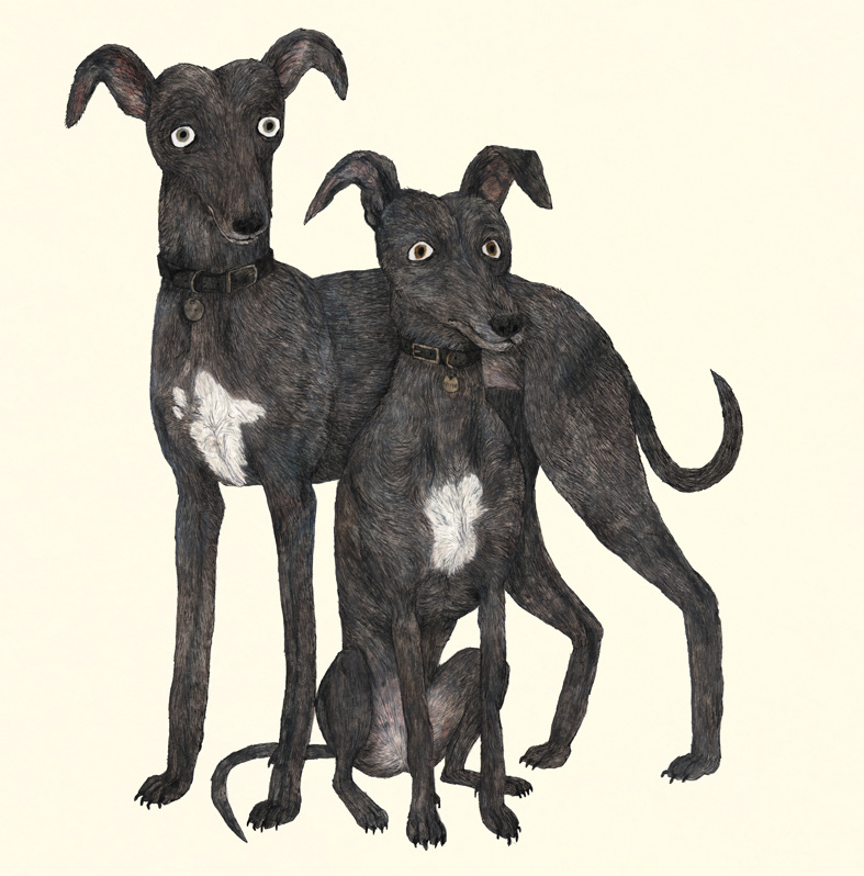 Pet Portraiture - Benjamin Phillips Artist & Illustrator
