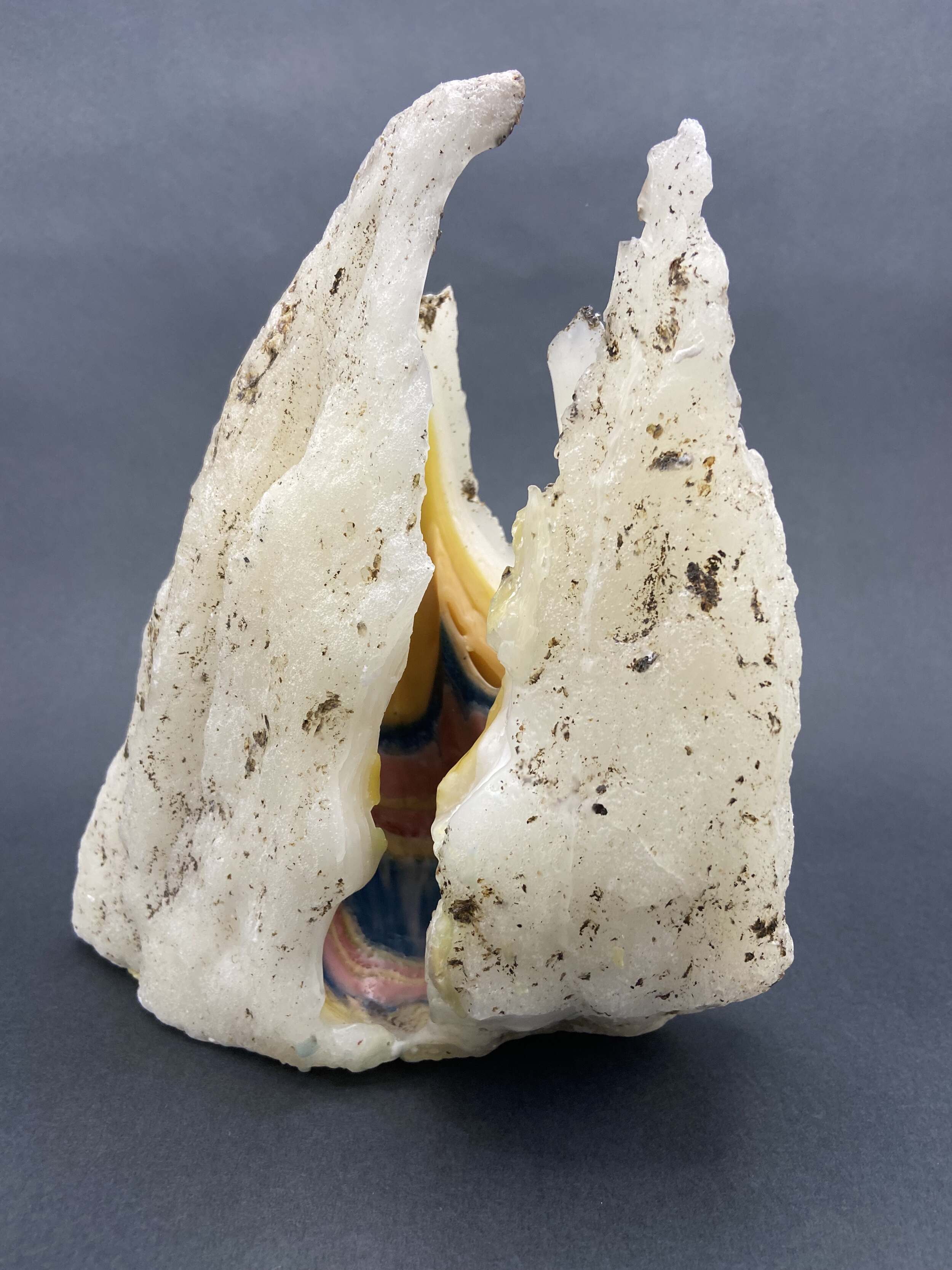 Nichola Kinch - Artist