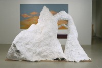 Tumbleweed - Nichola Kinch - Artist