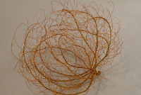 Lithophane Electrotachyscope - Nichola Kinch - Artist