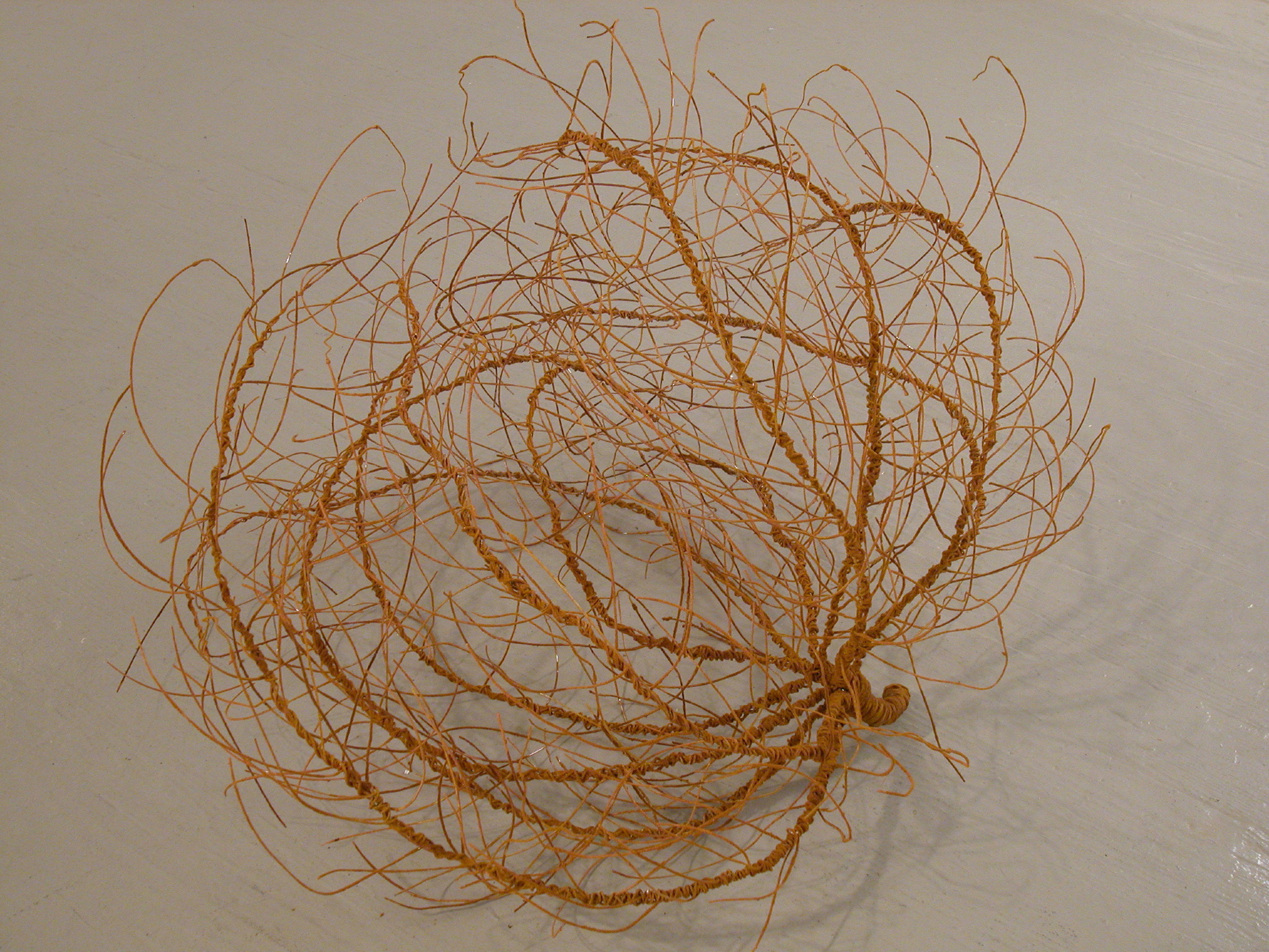 Tumbleweed - Nichola Kinch - Artist