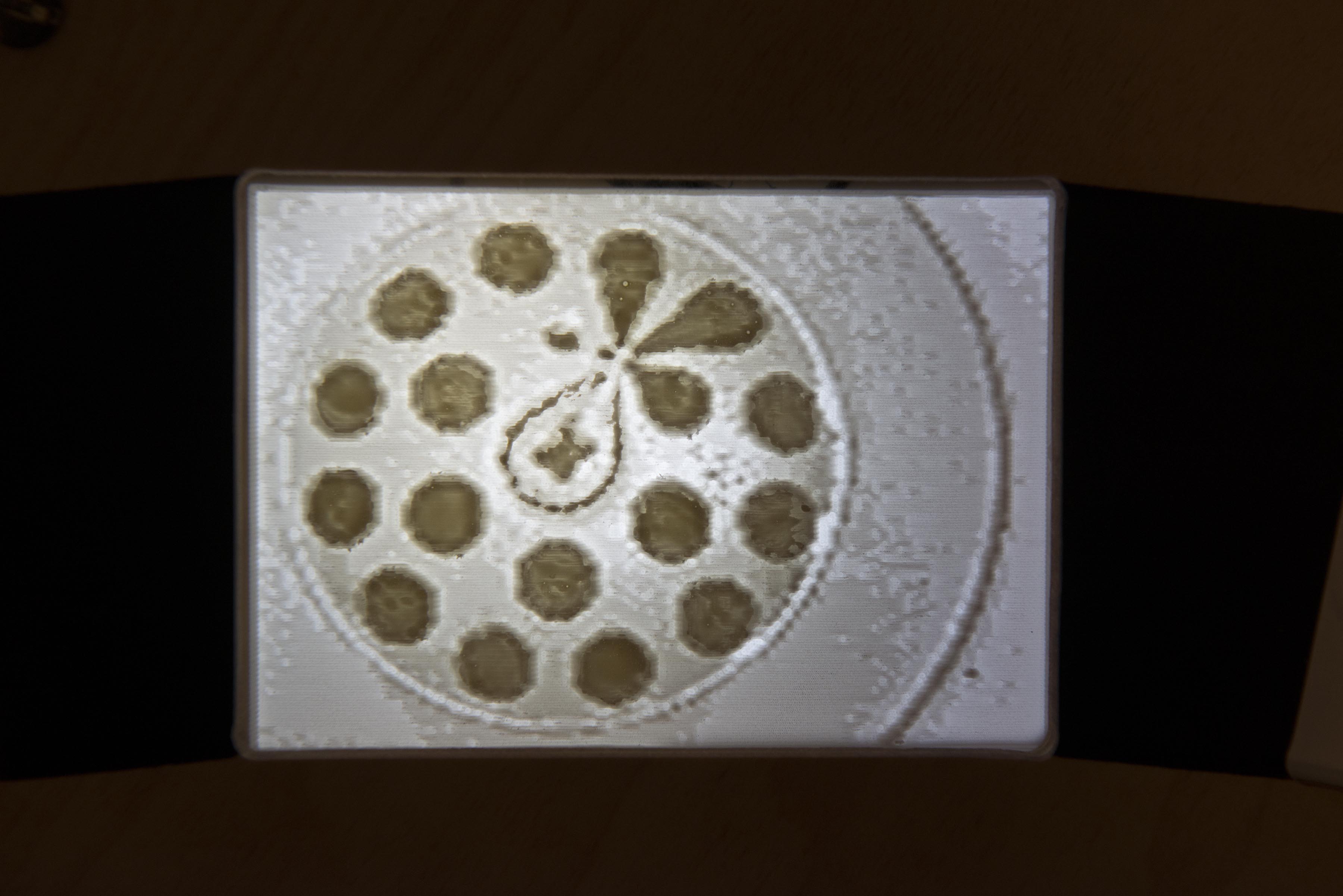 Lithophane Electrotachyscope - Nichola Kinch - Artist