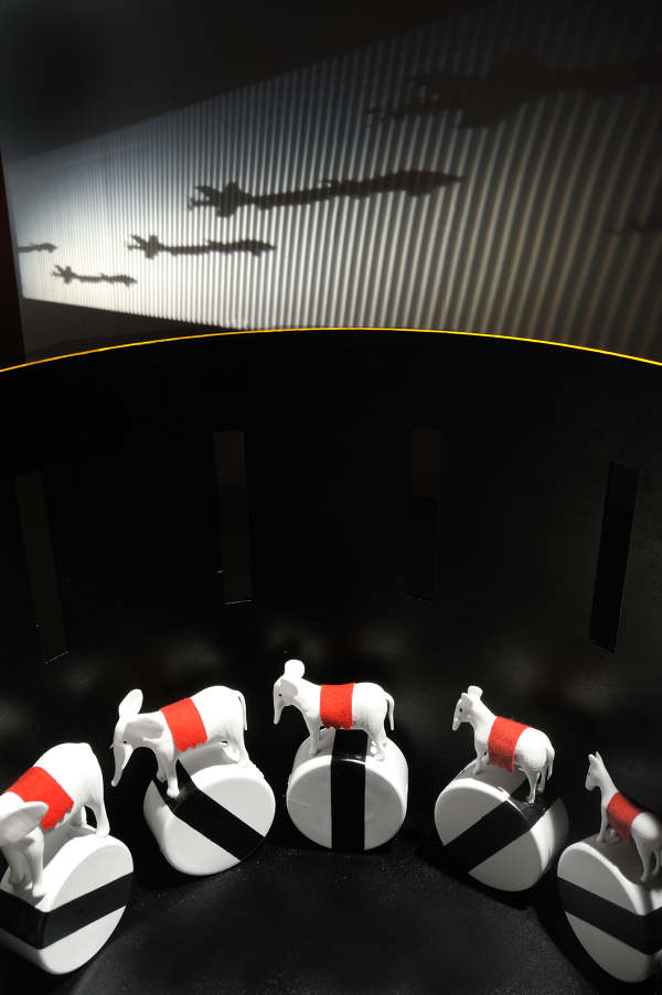 Tumbleweed - Nichola Kinch - Artist