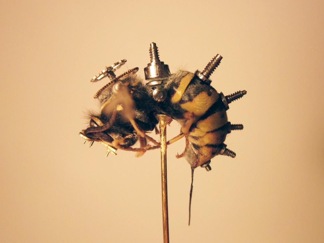 Photography - Reed Amber Thomas-Litman