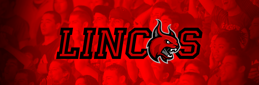 Linces - David Mondragón