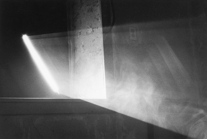 ANTHONY McCALL - MUSEO