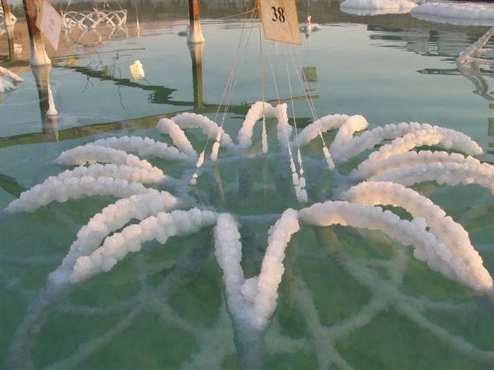 SIGILIT LANDAU - MUSEO