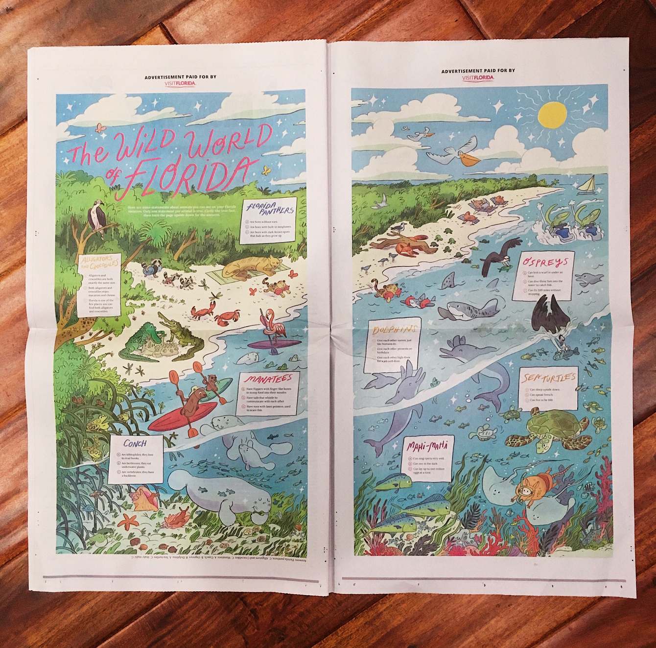 T Brand Studio x Visit Florida / New York Times Kids Section - Natalie ...