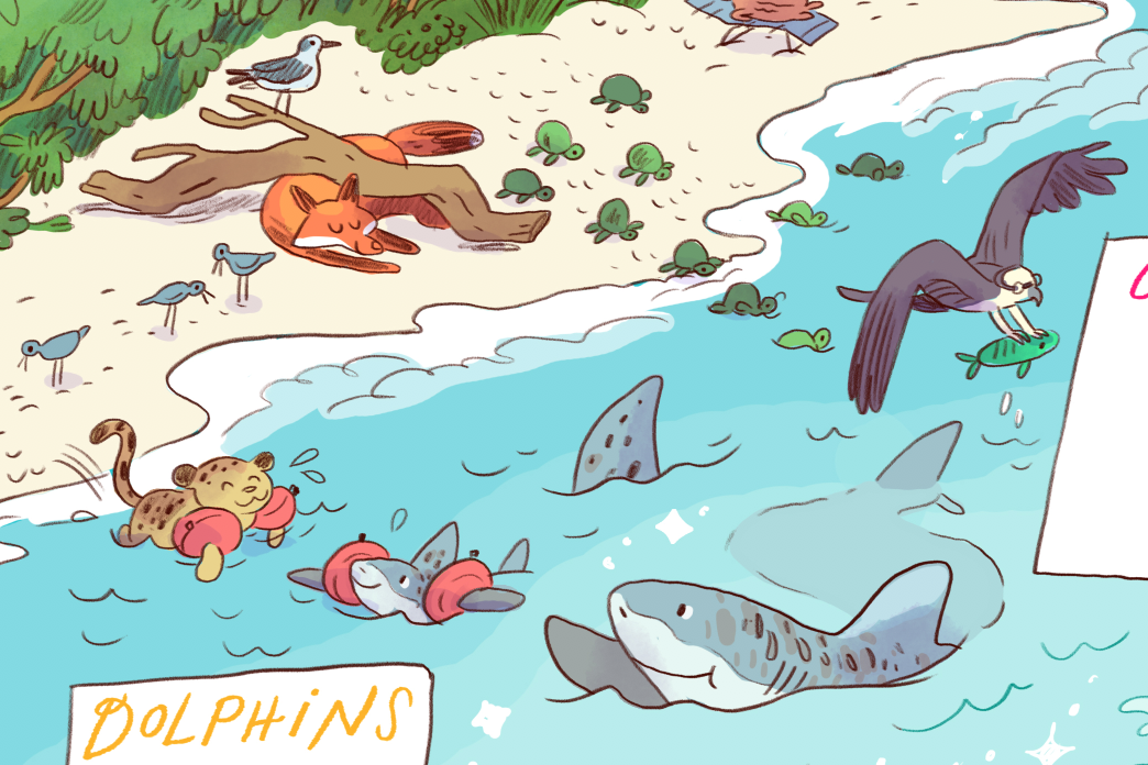 T Brand Studio x Visit Florida / New York Times Kids Section - Natalie ...