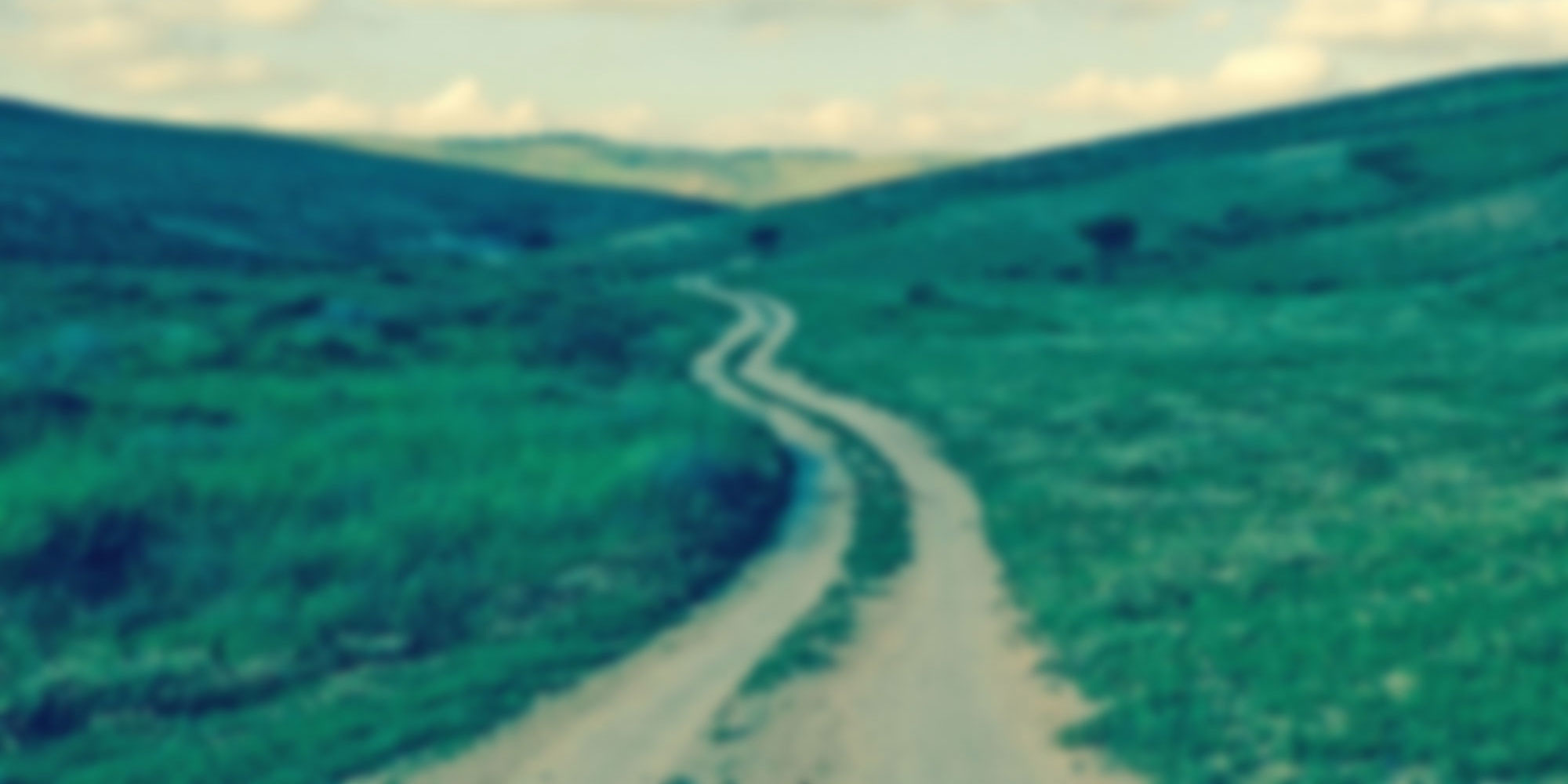 Less and More Collective Path For Life