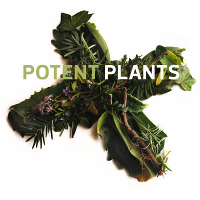POTENT PLANTS - Jennifer Raichek