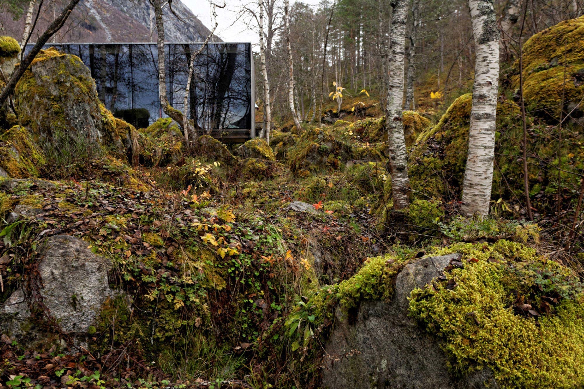 Juvet landscape hotel - first phase - Jensen & Skodvin