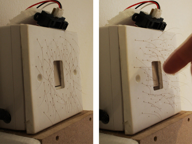 disgusting light switches - katrinbaumgarten