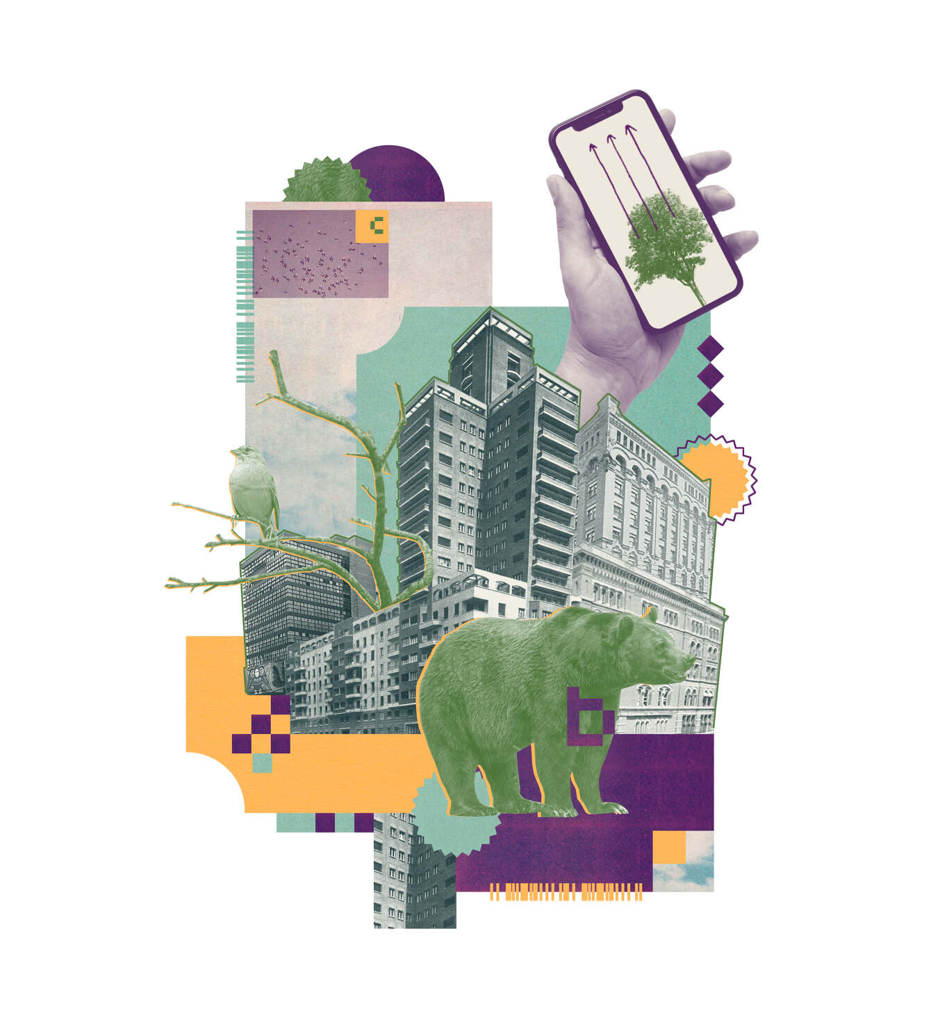 Biodiversity of Concrete (TEC) - Blair Frame Illustrator