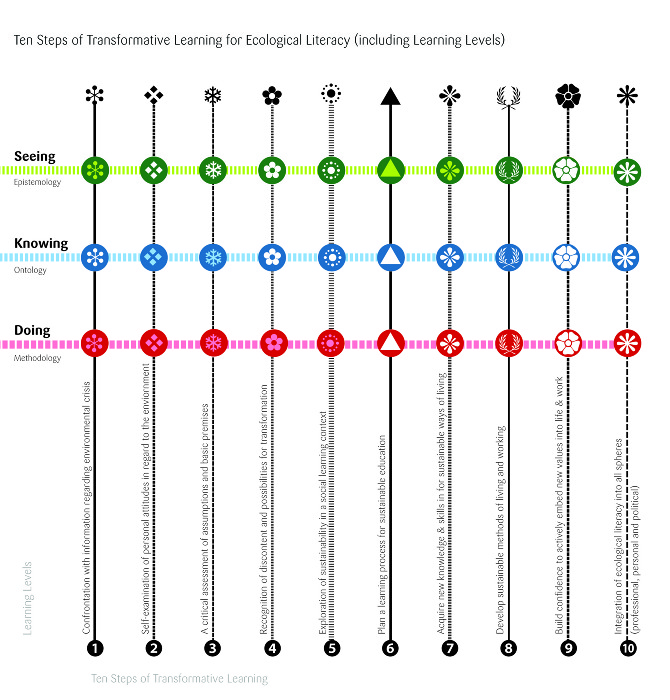 Ten Steps of Transformative Learning for Ecological Literacy - EcoLabs