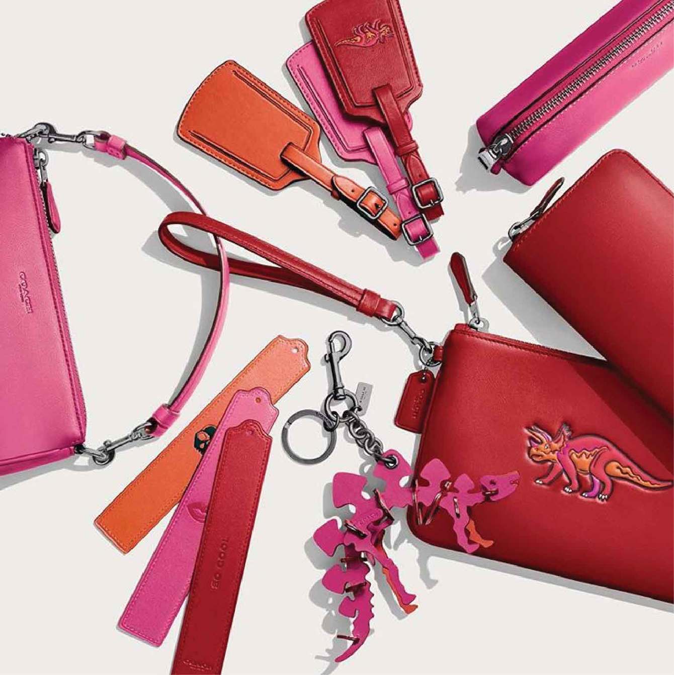 COACH X COLETTE - Rachel Yun