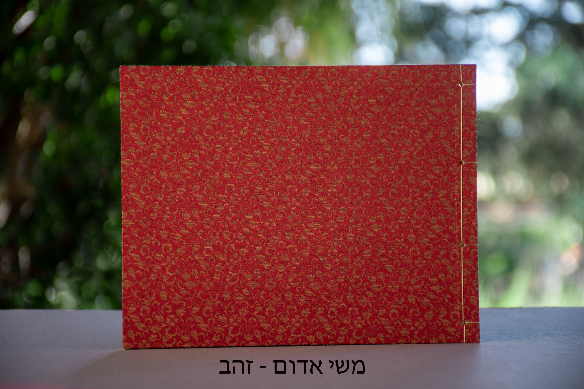 Japanese Binding - Ido Agassi