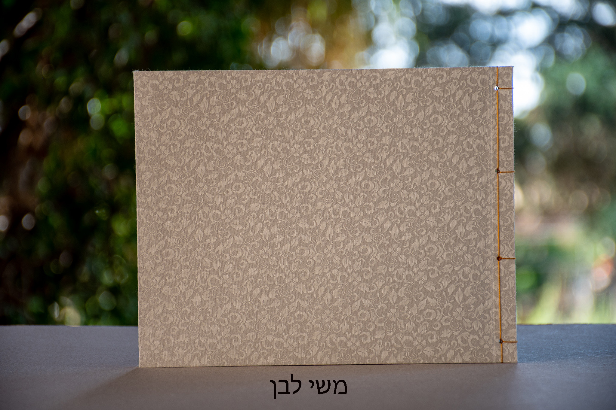 Japanese Binding - Ido Agassi