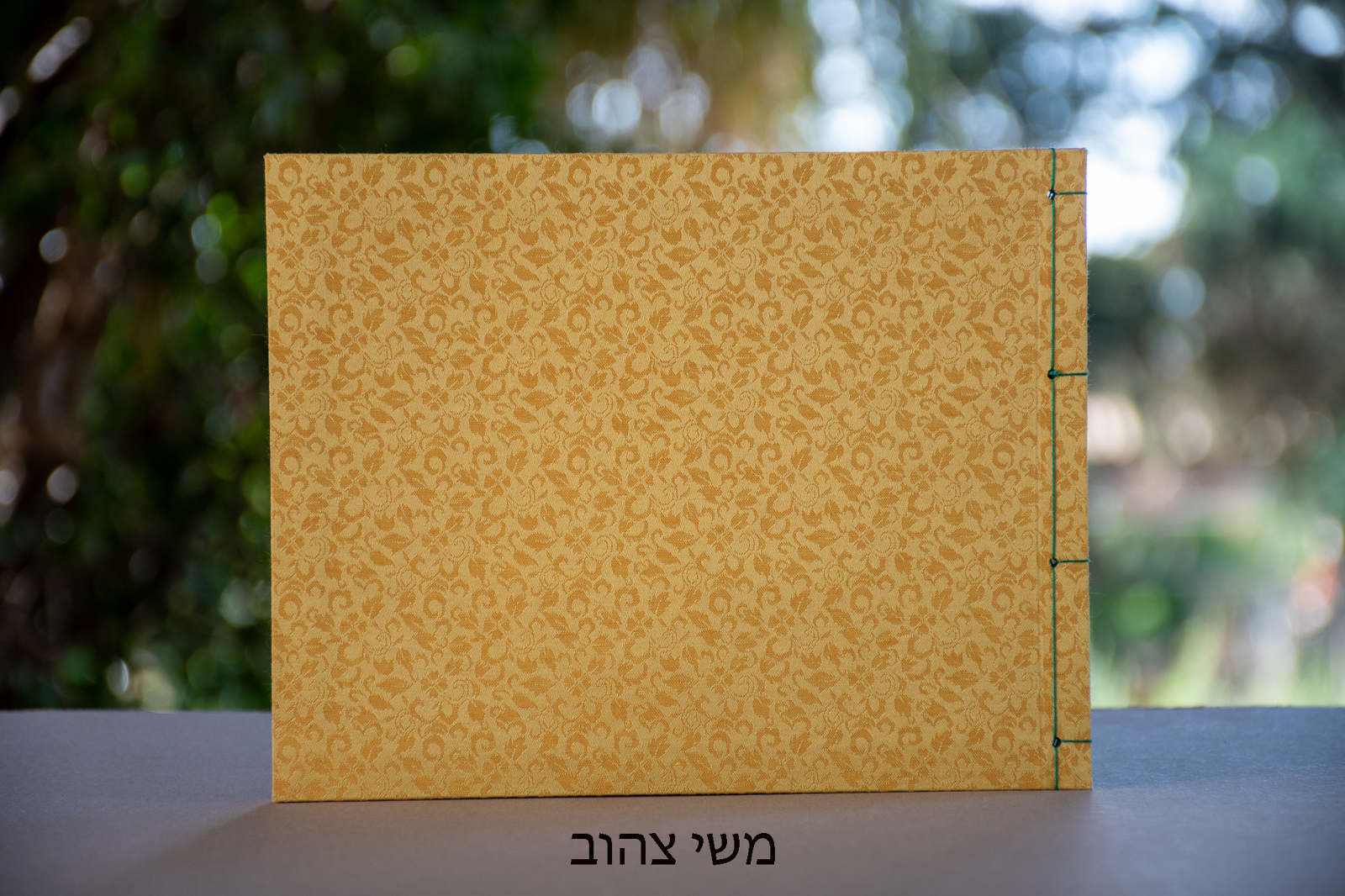 Japanese Binding - Ido Agassi