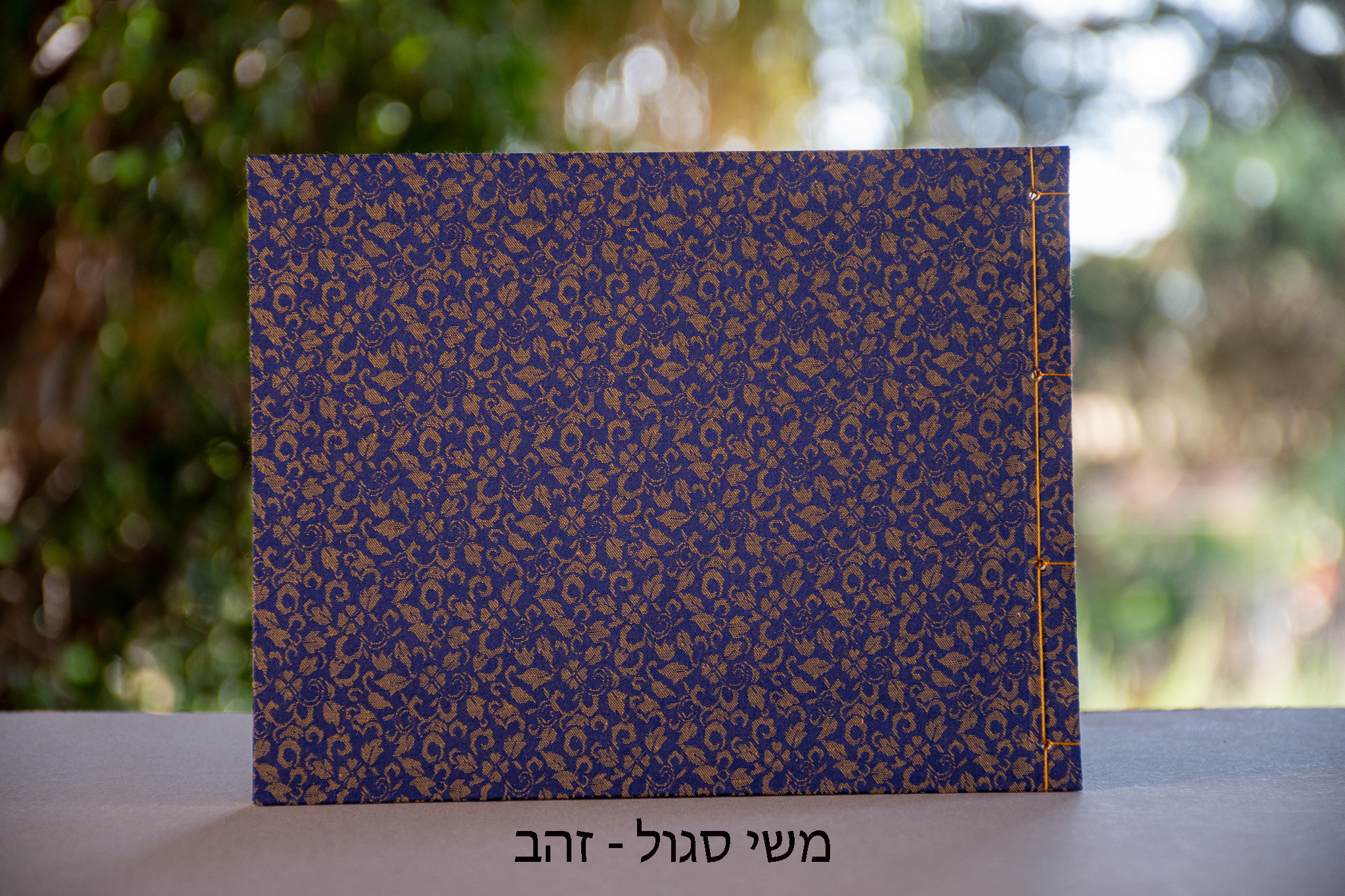 Japanese Binding - Ido Agassi