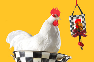 Logo Designs - Bill Ferenc - Designer & Illustrator