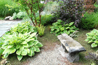 Matt Kilburn - Garden Designer
