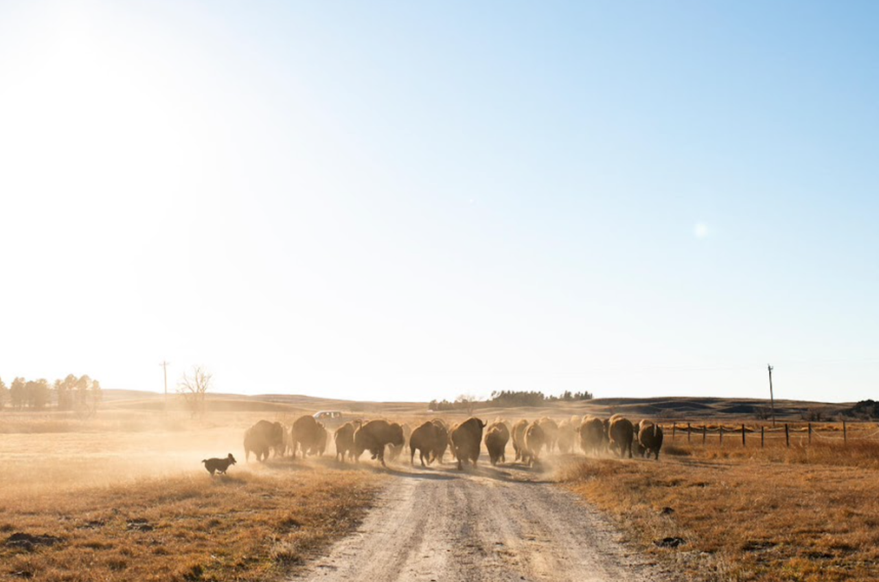 Leilani Marie Labong