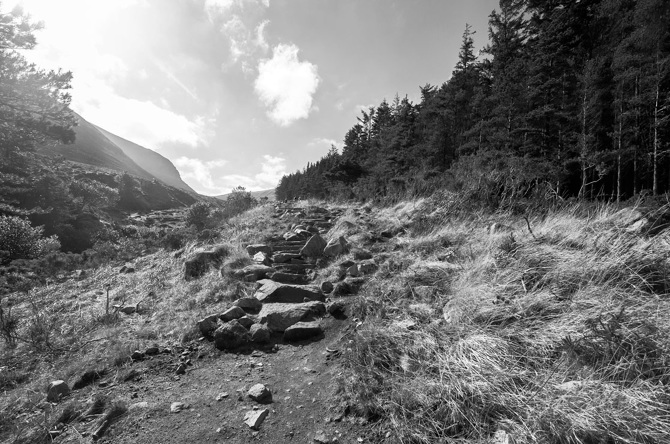 Salt Photography - Salt Creative