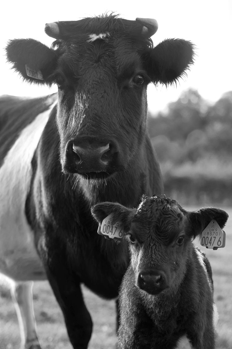 Salt Photography - Salt Creative