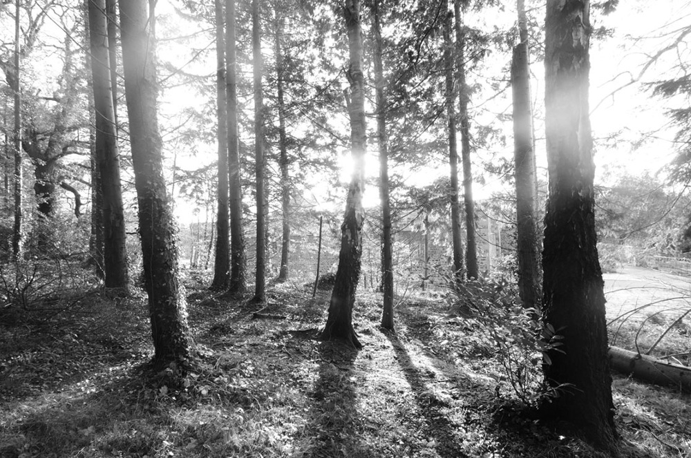 Salt Photography - Salt Creative