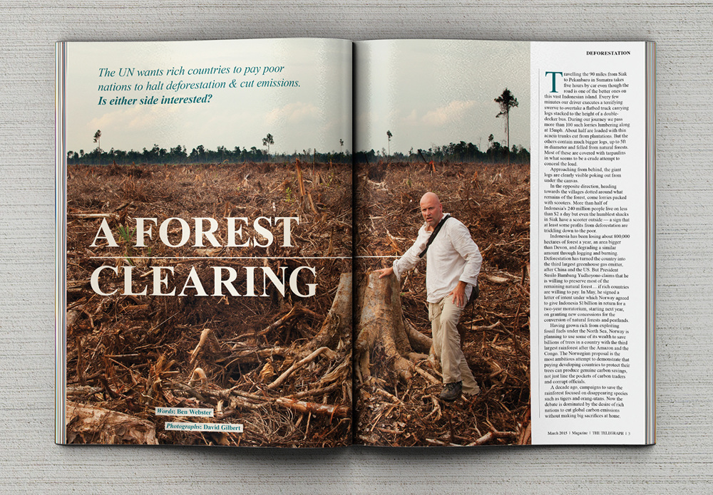 Editorial Design - Jenelle Law