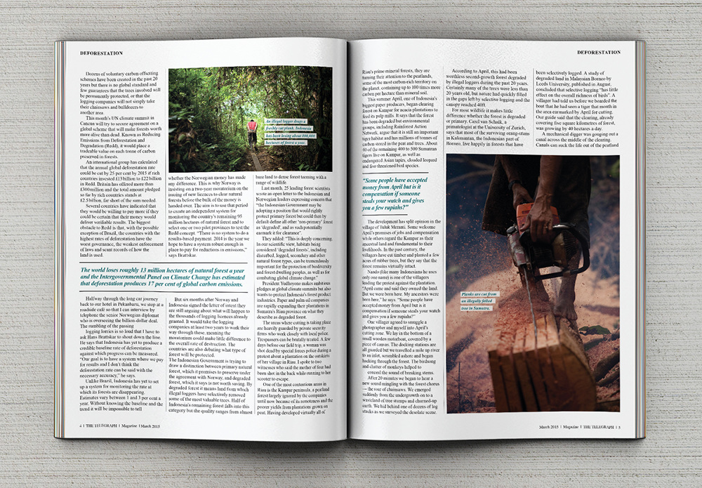 Editorial Design - Jenelle Law