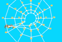 arachnid - programming - slaffo