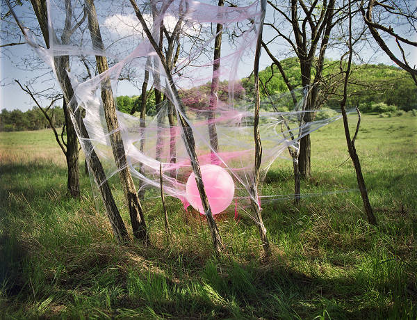 Fake Nature - Benedek Bognar photography