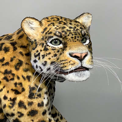 WWF - Marina Ralph