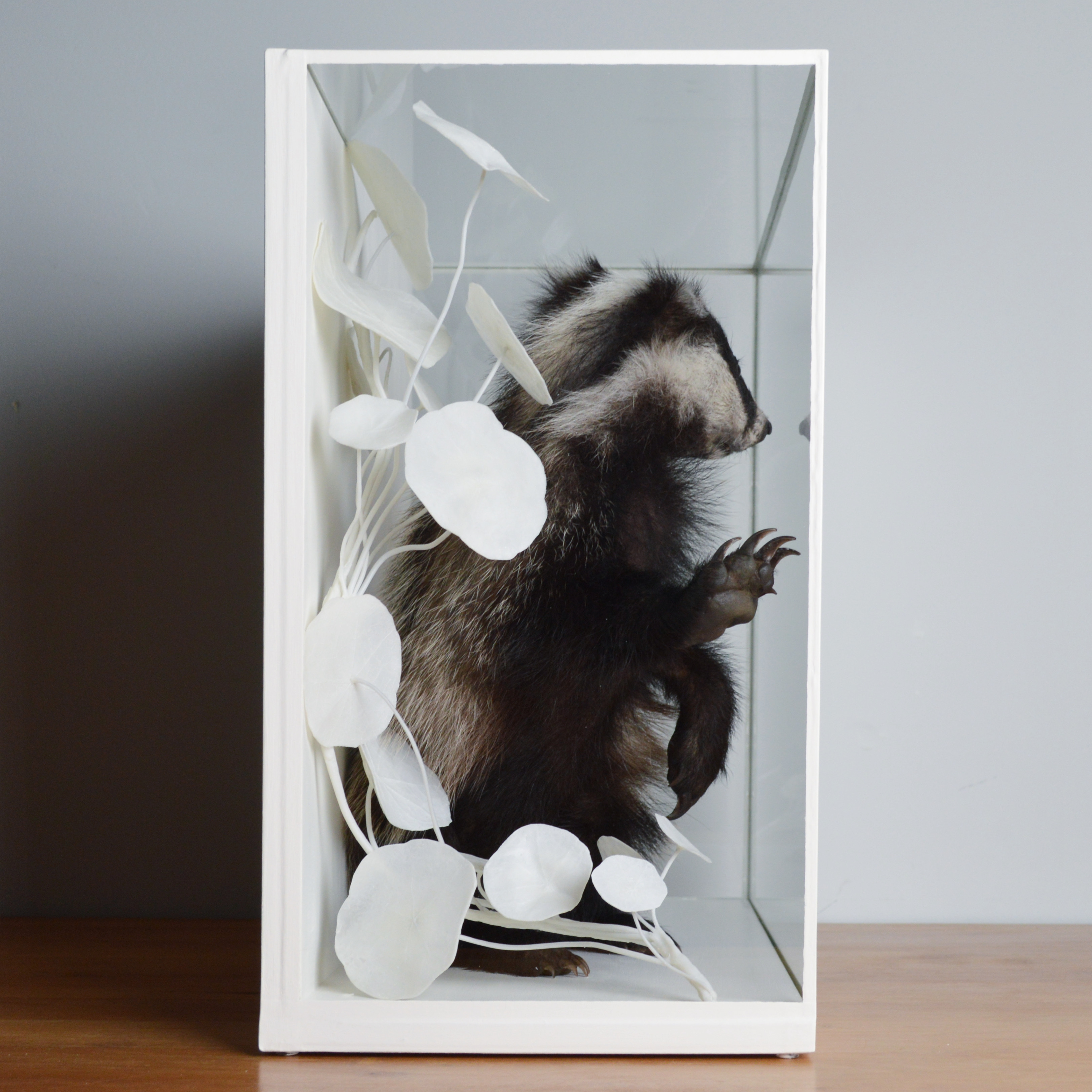 Jazmine Miles-Long - Ethical Taxidermy