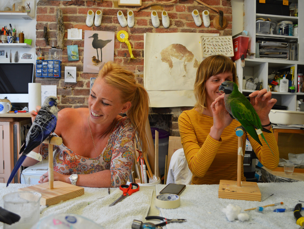 Workshops / Education - Ethical Taxidermy