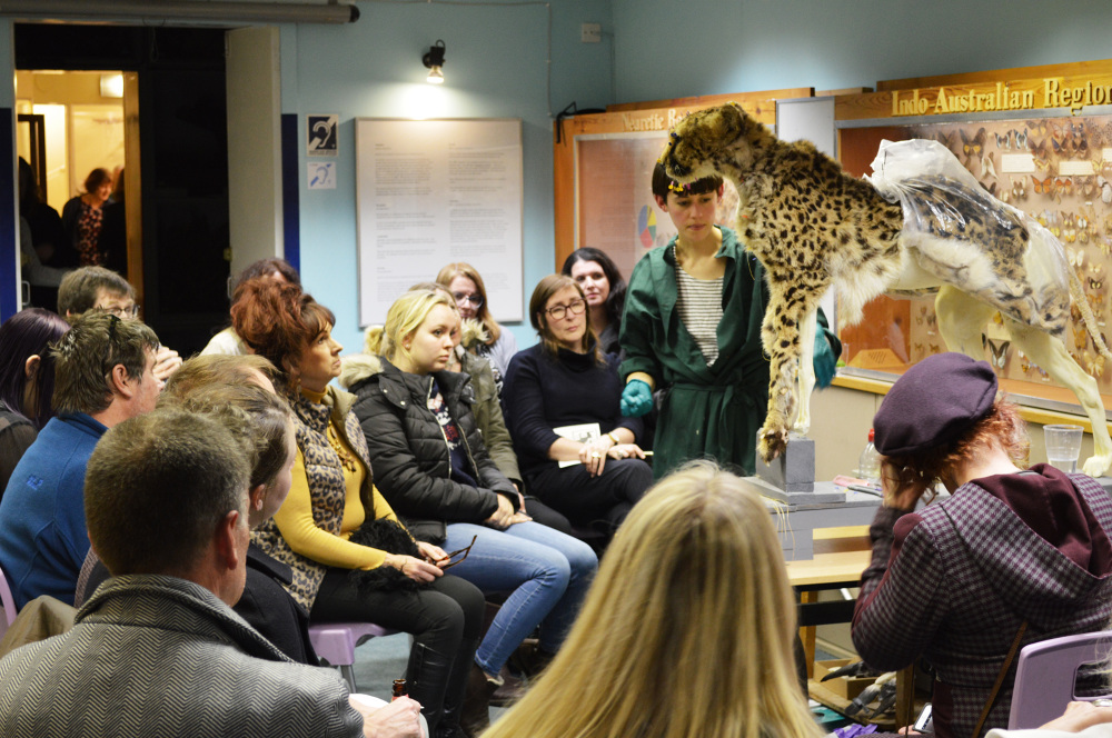 Museums - Ethical Taxidermy