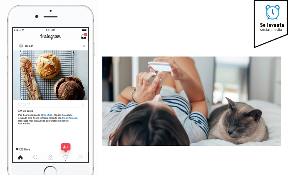 The Rustik Bakery - Yuting Chu