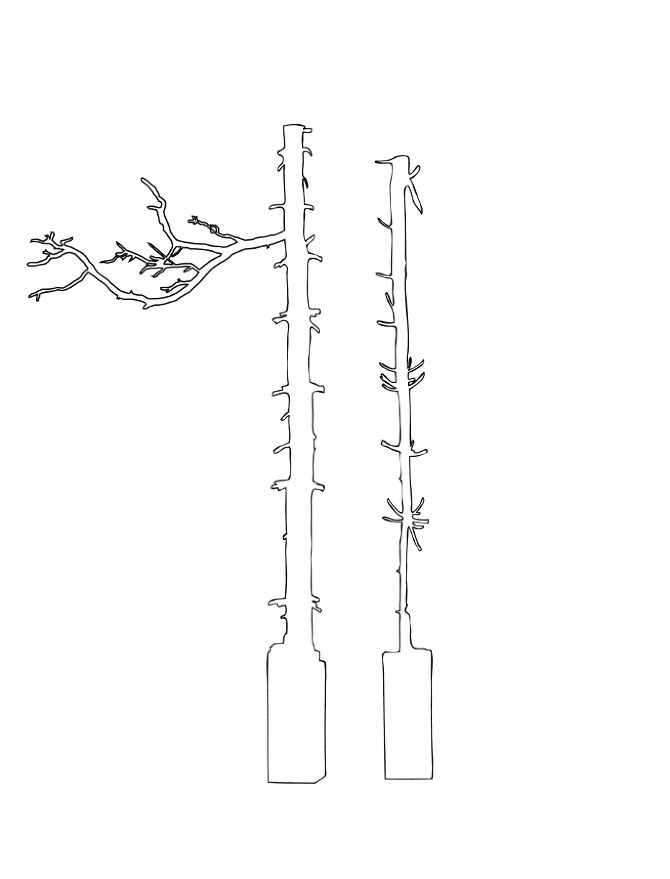 'Origin' at Tate Modern - Action Pyramid