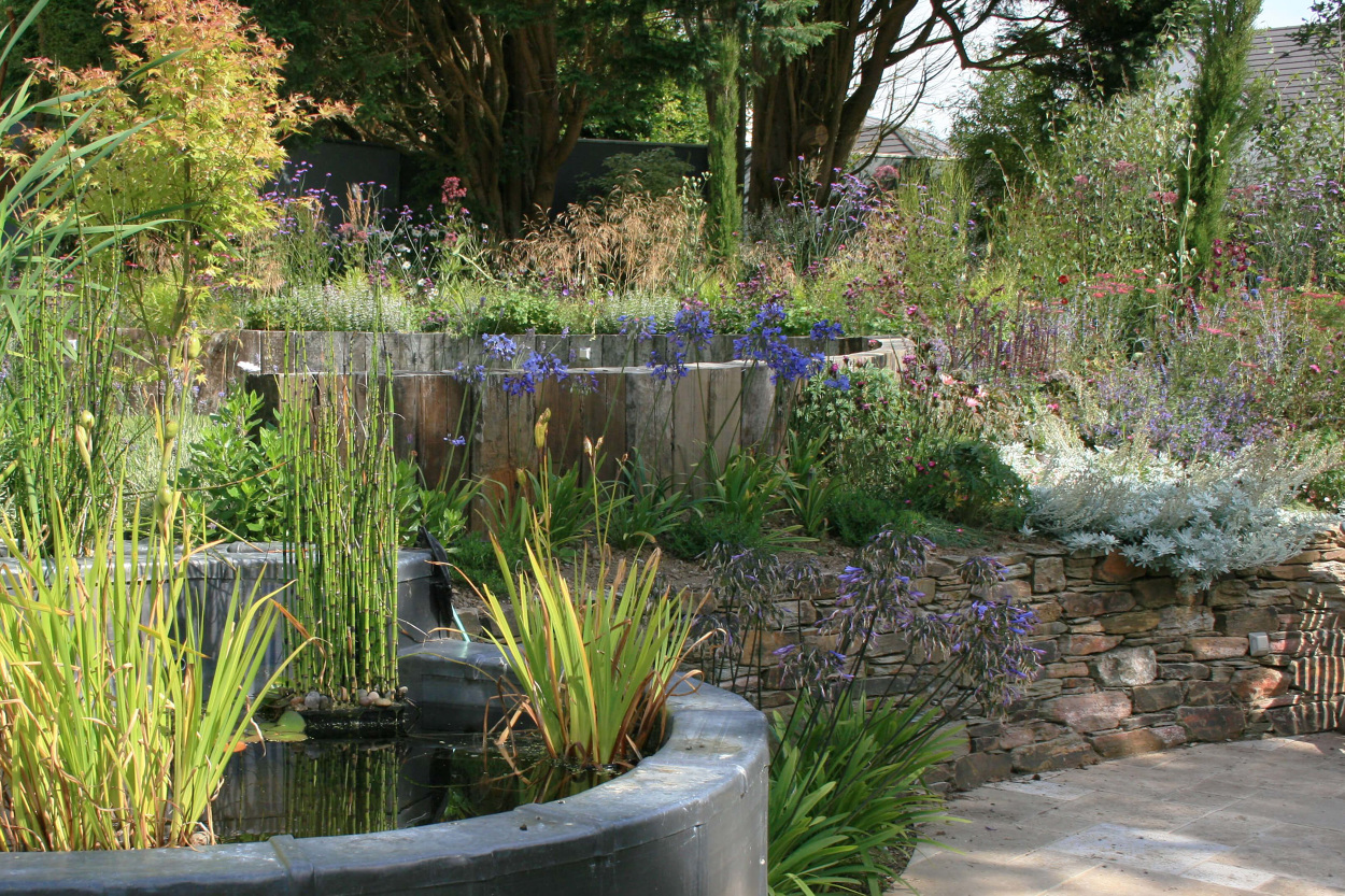 Planting Design, Penryn, Cornwall - Lucy Conochie Garden Design