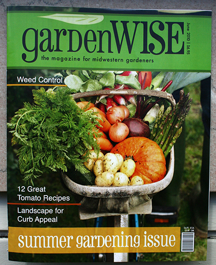 Teaching, Magazine development and layout - Deb Lawton