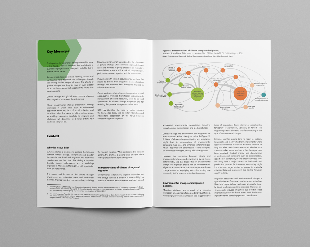 Nexus Brief Migration - Maria Libert