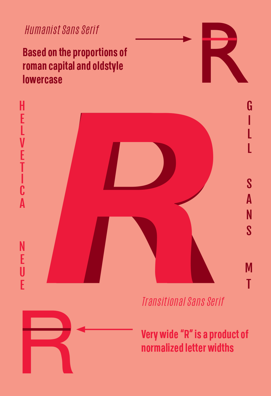Typographic Classification Cards - Robert Gonzalez