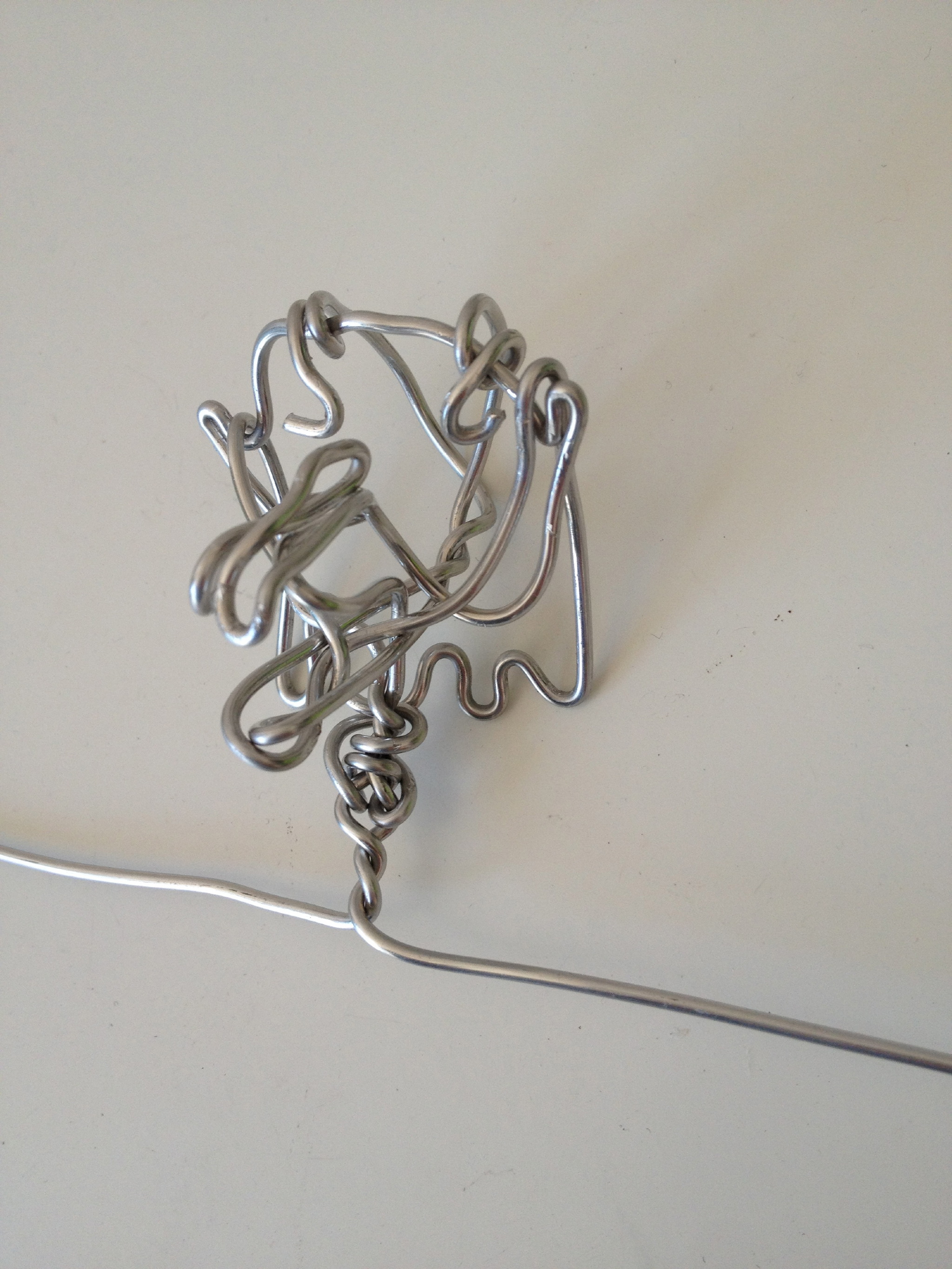 Wire Manipulations - Natalie Coblentz