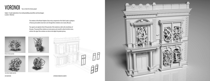 VORONOI - Elizabeth Caron Portfolio